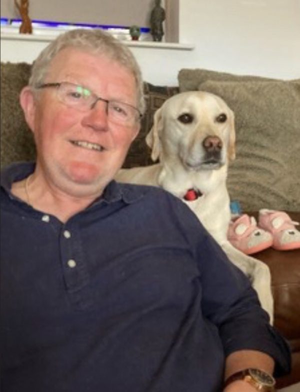 Home - Labrador Rescue South East & Central